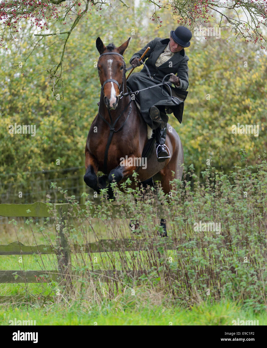 Hunting Side Saddle High Resolution Stock Photography and Images - Alamy