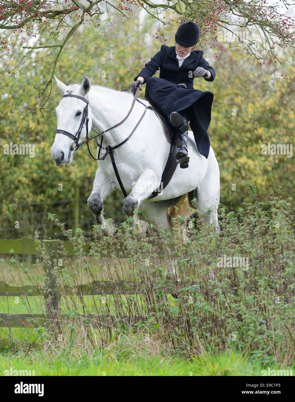 Leicestershire, UK. 24th October, 2014. Side saddle riders travelled ...