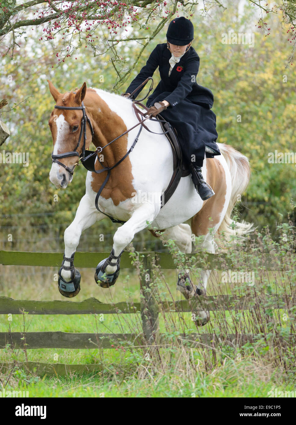 Sidesaddle hi-res stock photography and images - Alamy