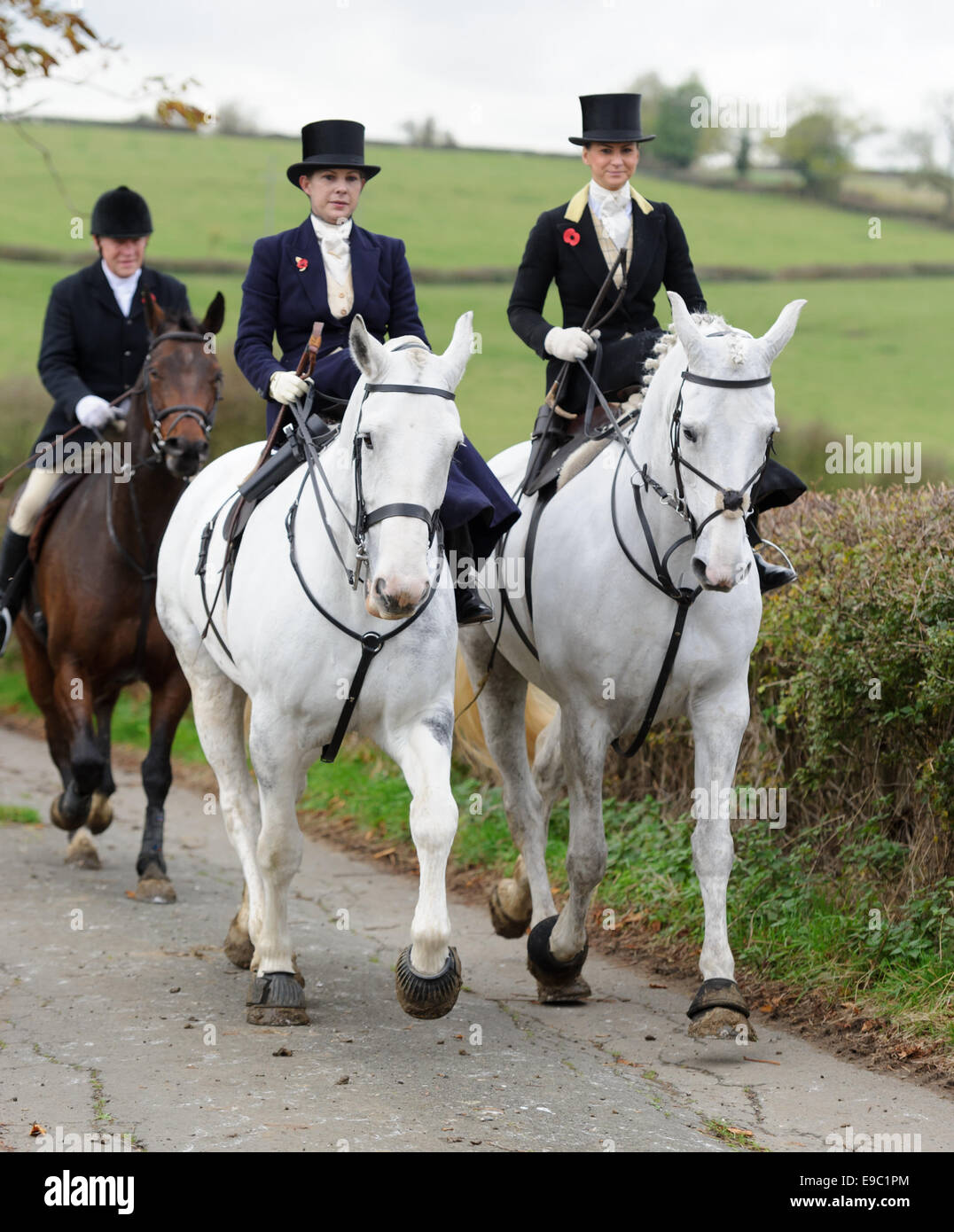 Nico morgan side saddle hi-res stock photography and images - Alamy