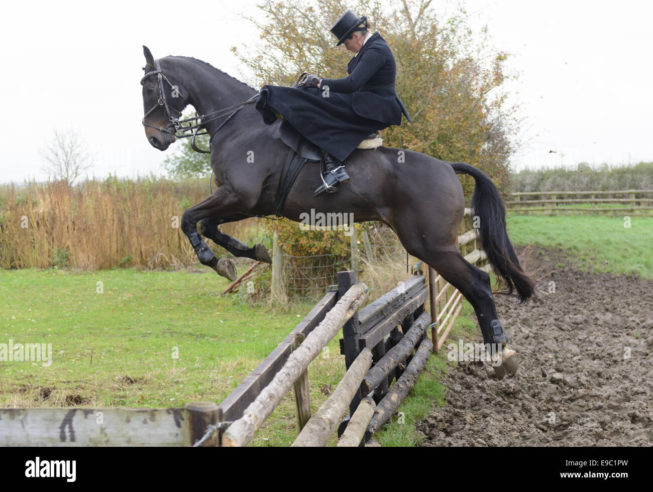 Sidesaddle hi-res stock photography and images - Alamy