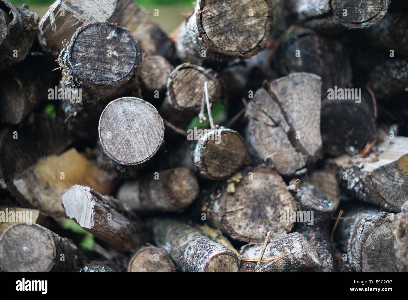 Log ends of piled up logs, England Stock Photo - Alamy