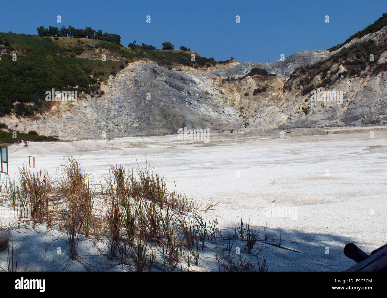 The crater of the Solfatara is filled with volcanic mud - June 2014 ...