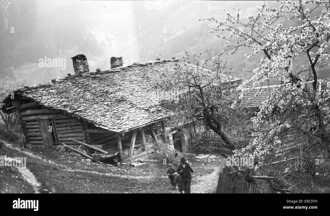 Tree in rural house Black and White Stock Photos & Images - Alamy