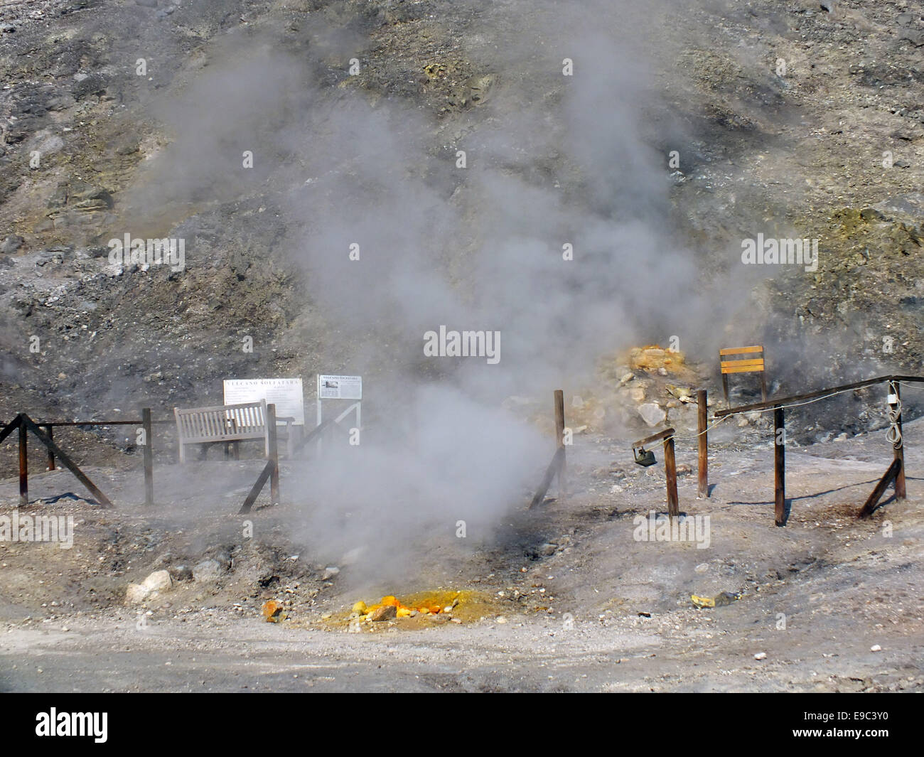 Occur at the crater walls of the Solfatara of toxic sulfur gases and ...