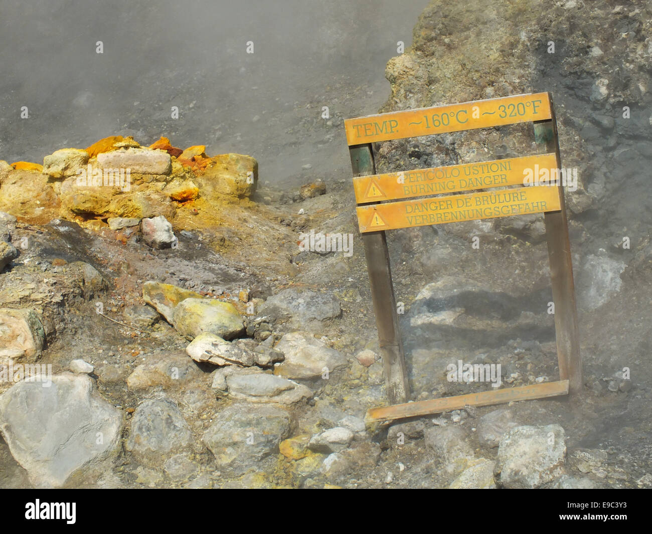 Occur at the crater walls of the Solfatara of toxic sulfur gases and ...