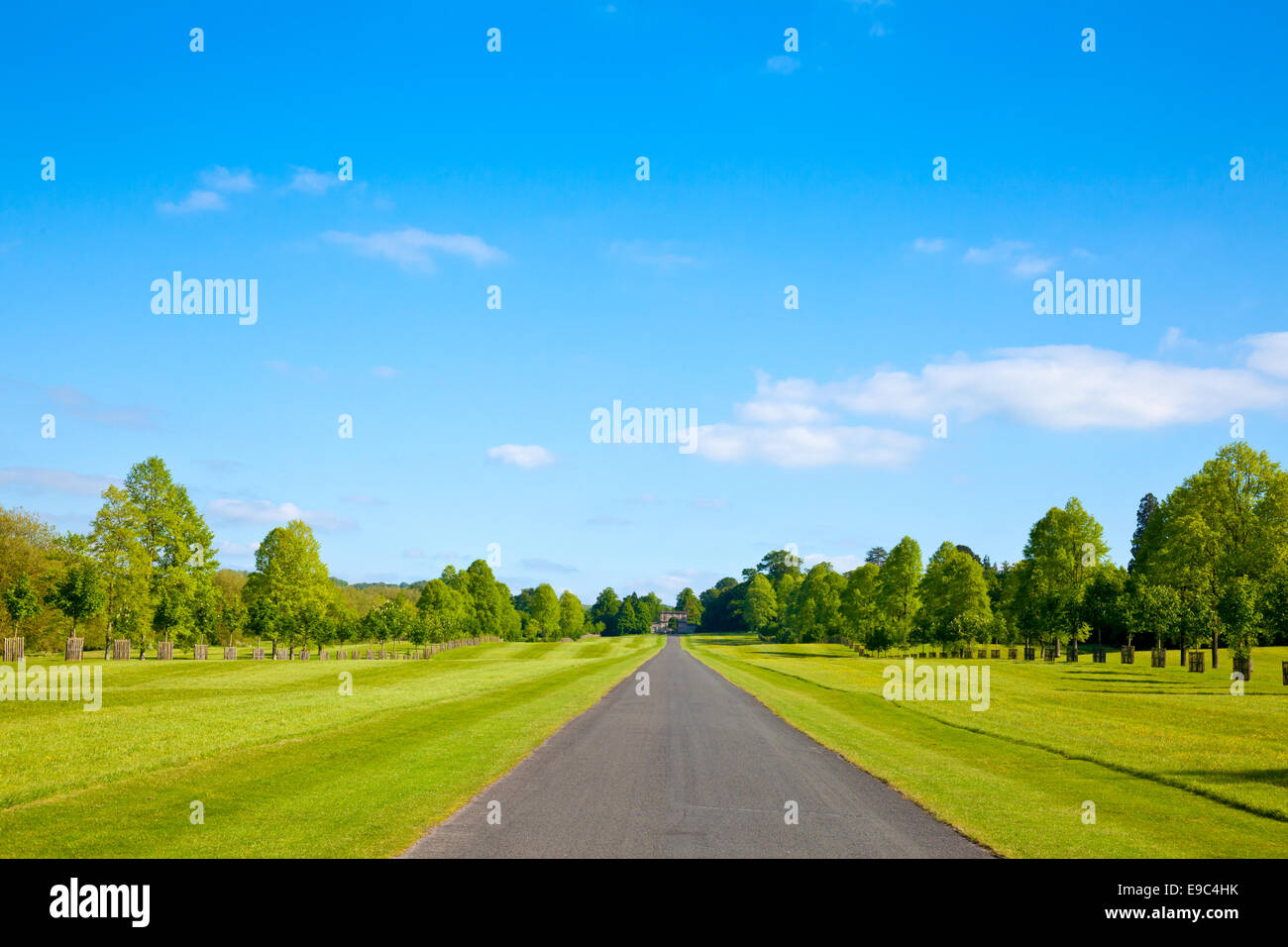 Straight park road in England Stock Photo - Alamy