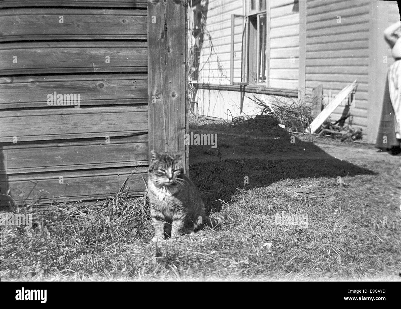 A photograph of Edith Raivola from Finland, part of the Svenska ...