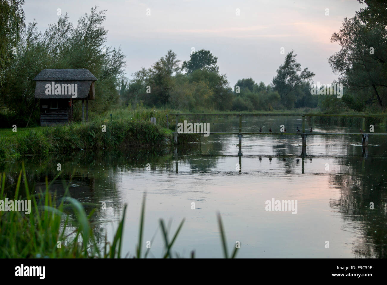 Bridge on River Test, Hampshire, England Stock Photo - Alamy