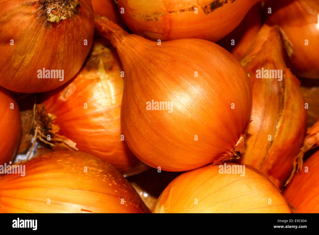 Onions for vitamins and minerals hi-res stock photography and images ...