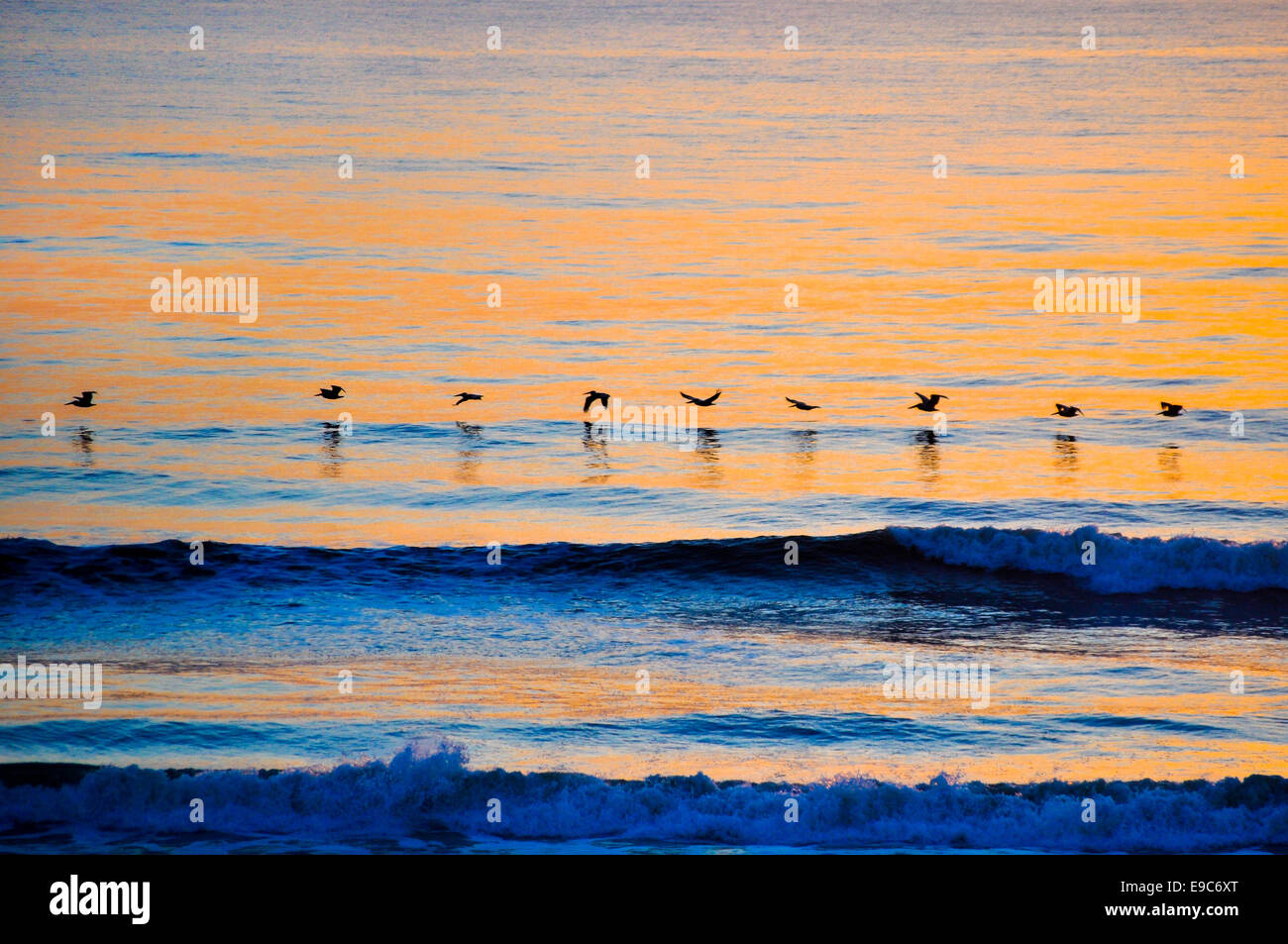 birds flying over ocean Sunset over ocean at Jacksonville Florida Stock ...