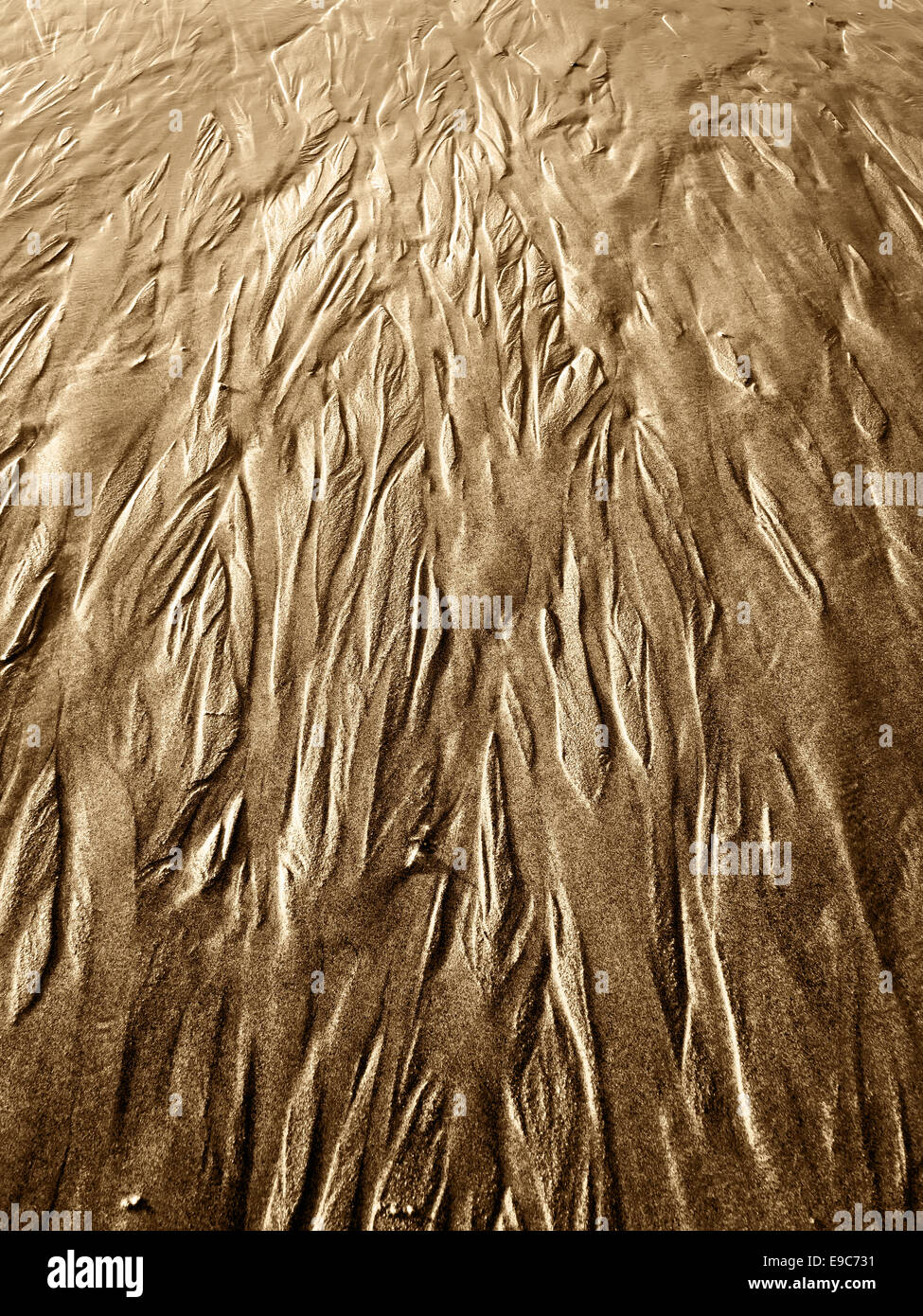 Sand texture hi-res stock photography and images - Alamy