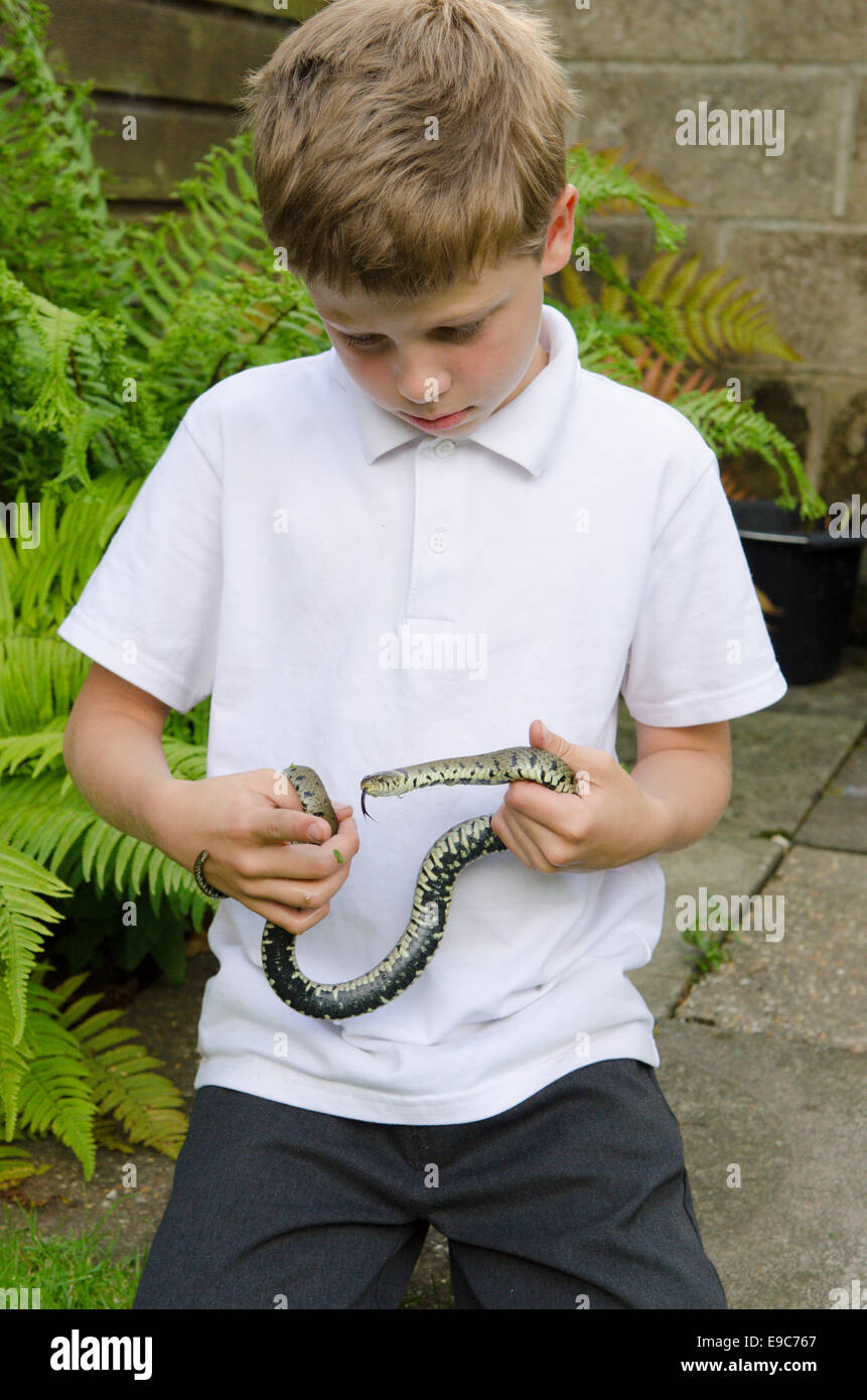 Snake child hi-res stock photography and images - Alamy