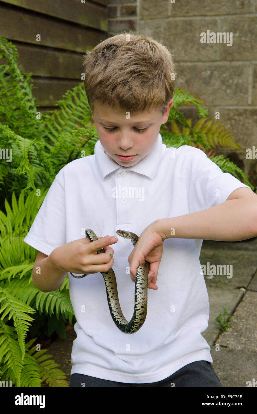 Snake child hi-res stock photography and images - Alamy