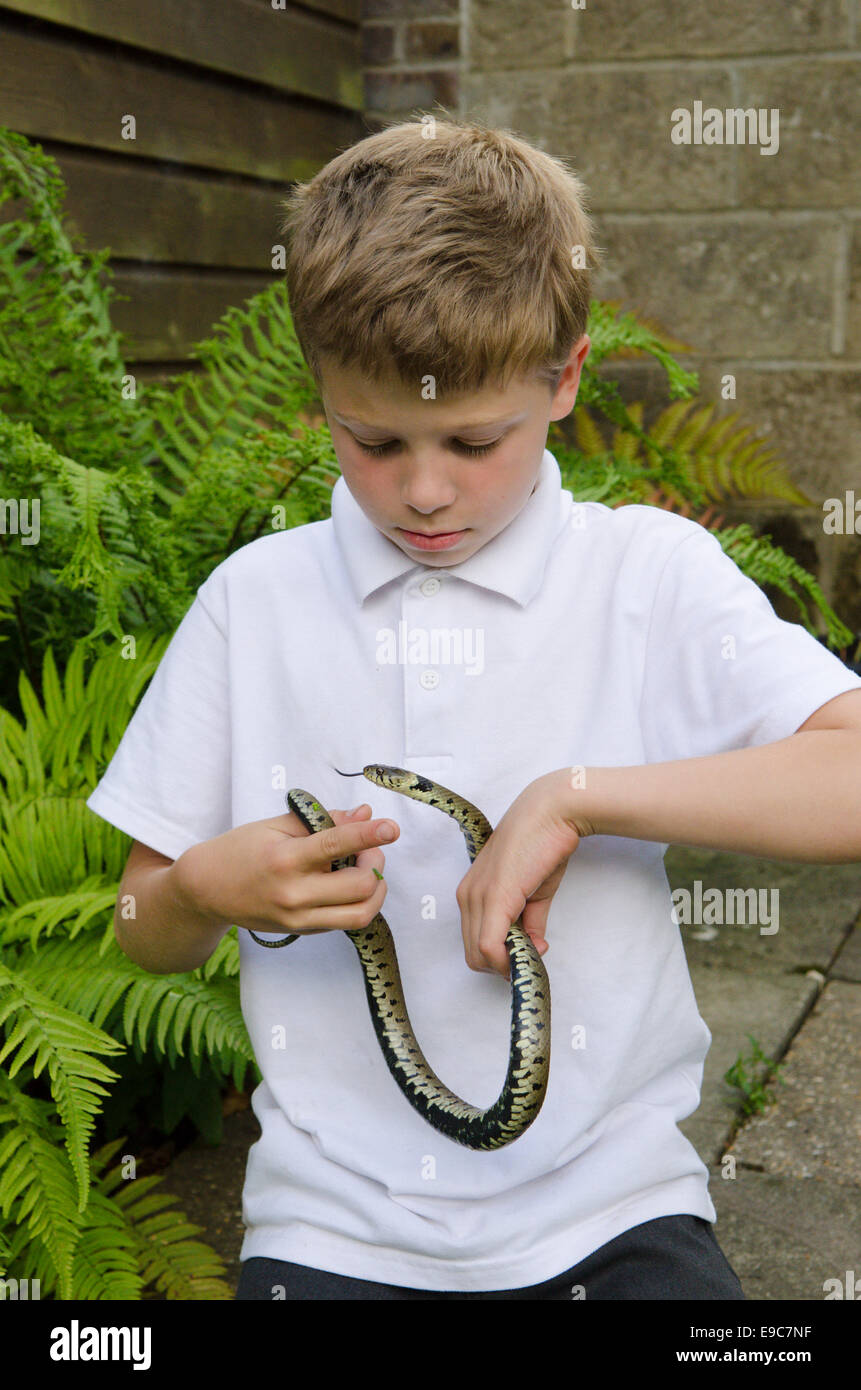 Snake handling hi-res stock photography and images - Alamy