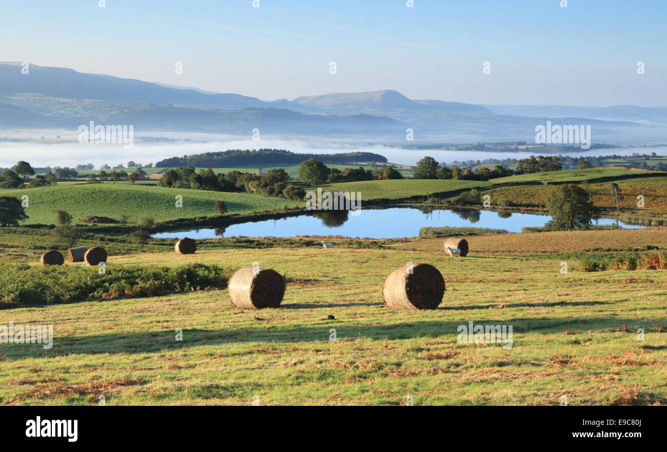 Early morning sunlight on the Begwns, above misty valley in the Welsh ...