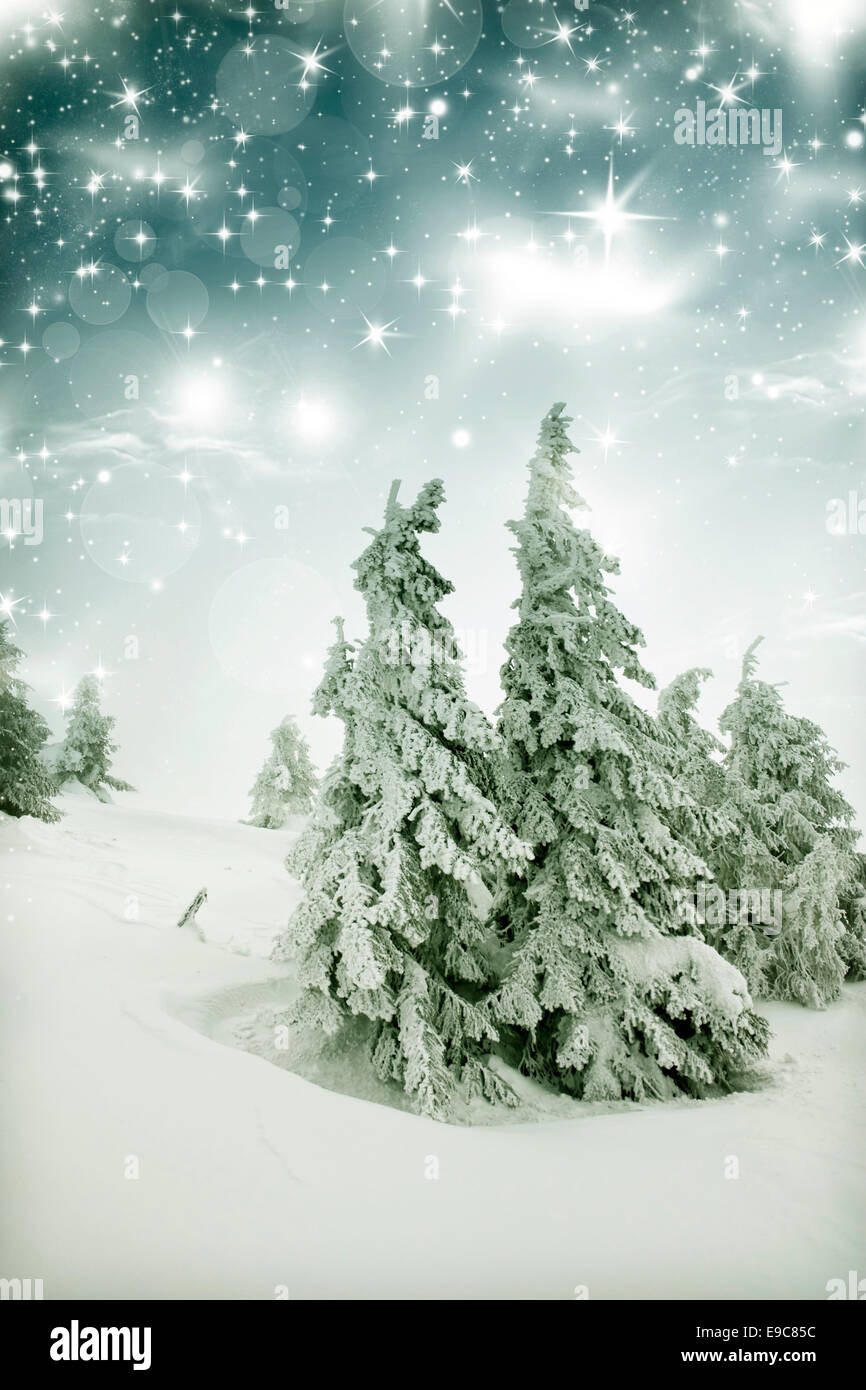 Beautiful winter landscape with snow covered trees and blue sky Stock ...