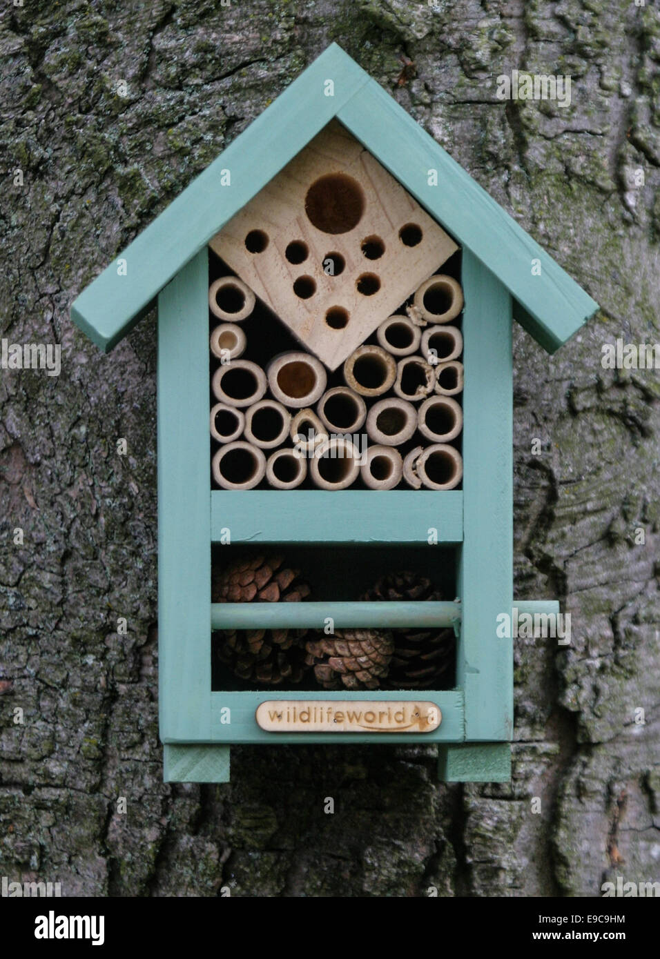 Bee box - for overwintering bees Stock Photo - Alamy