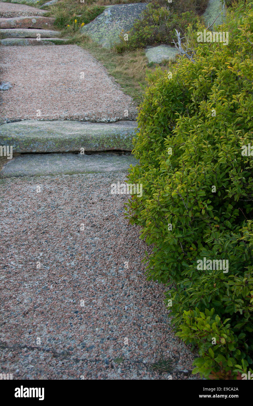 Acadia National Park, ME – September 4, 2014: Stone steps lead to the ...