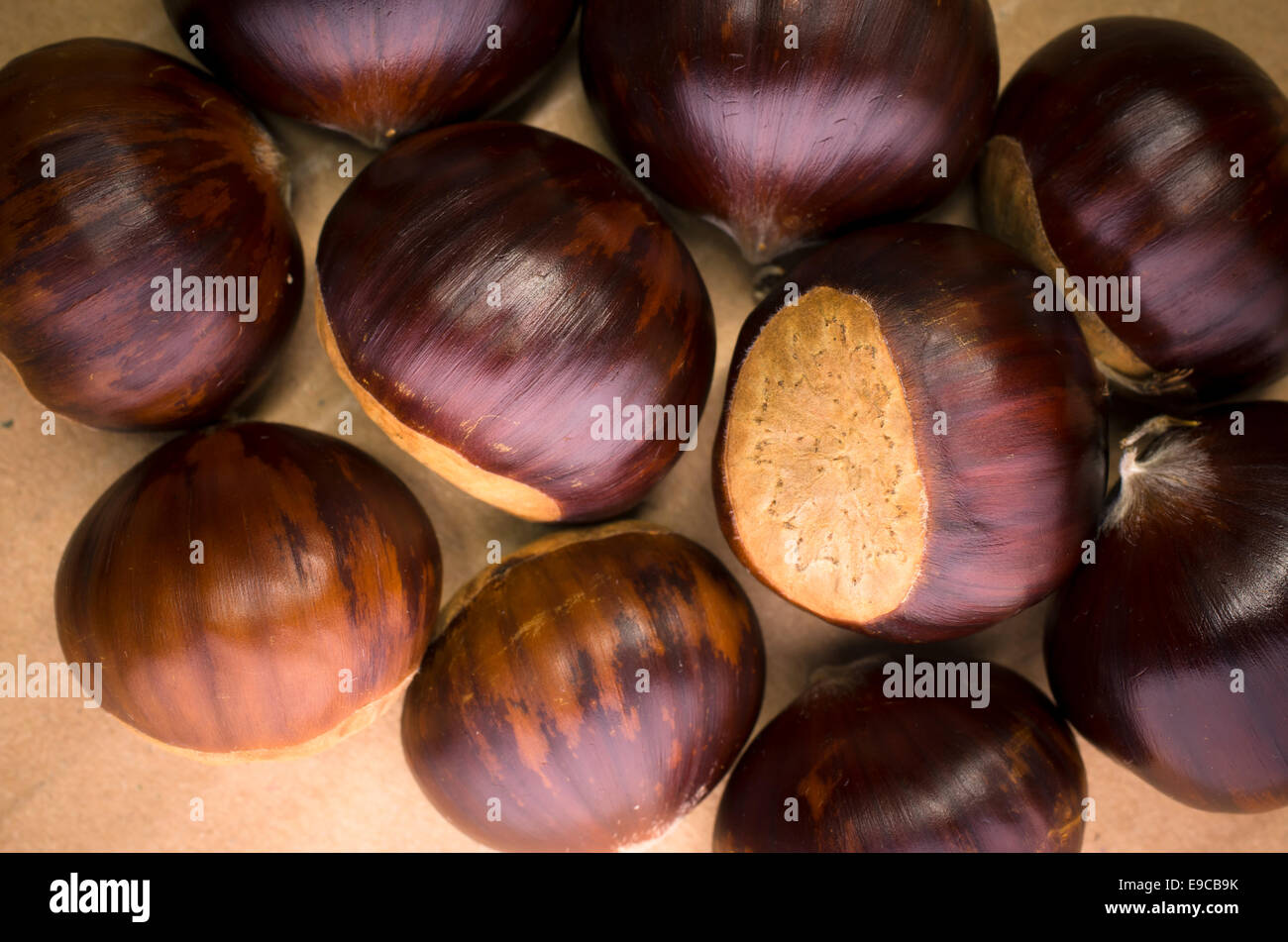 ripe chestnuts on a cardboard background Stock Photo - Alamy