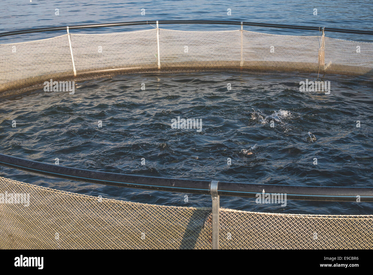 Cages for fish farming in mountain lake Stock Photo - Alamy