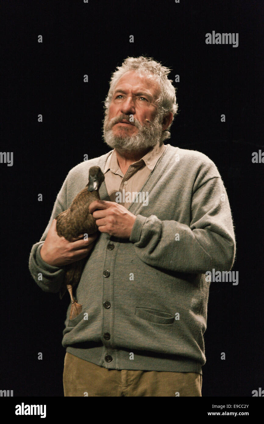 Dan Wyllie High Resolution Stock Photography and Images - Alamy