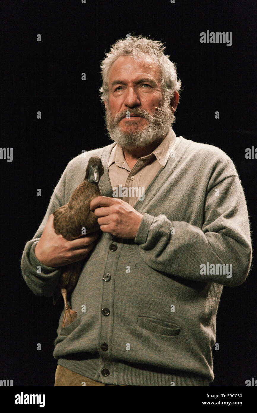 Piper duck hi-res stock photography and images - Alamy