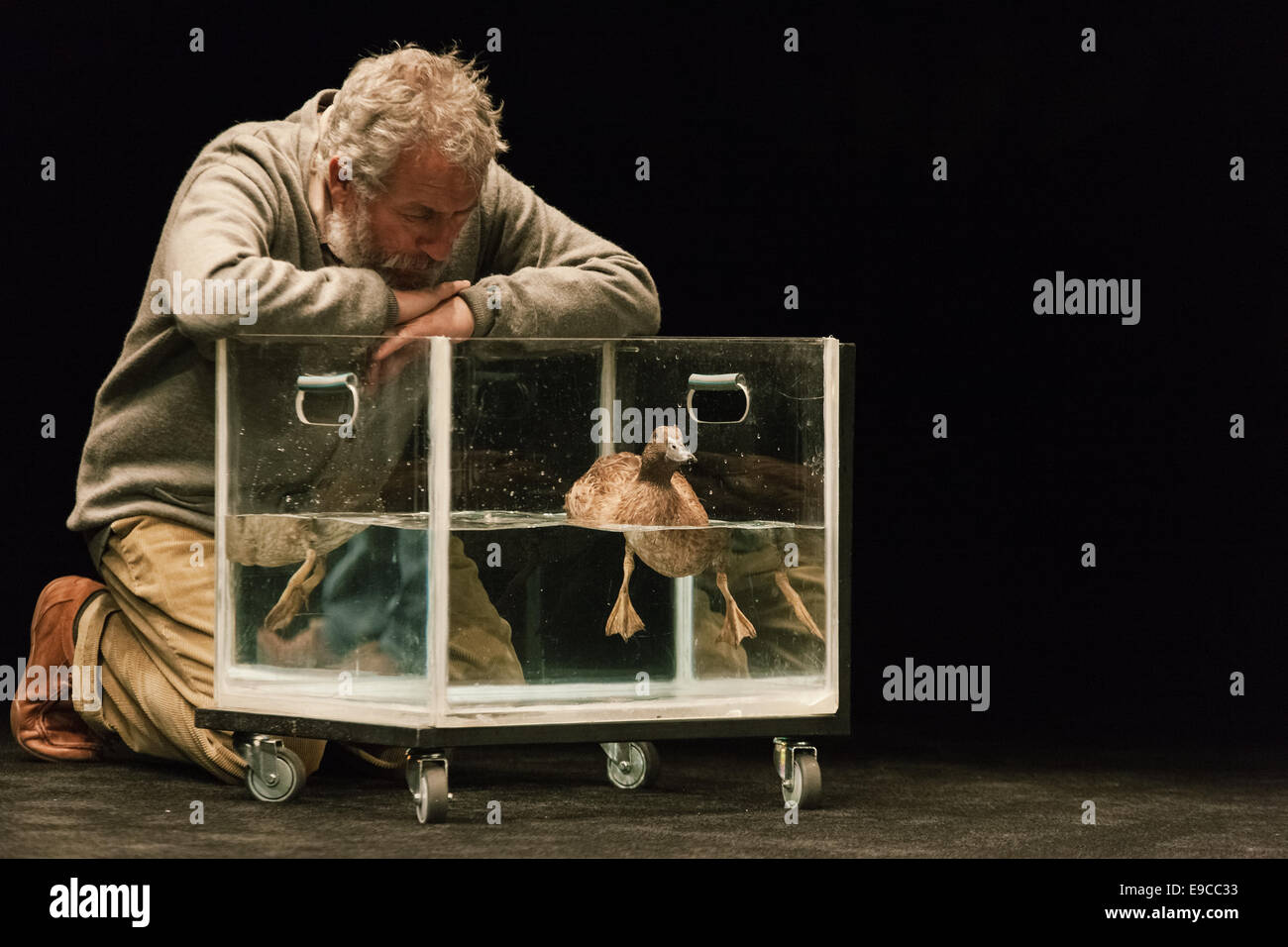 Richard Piper as Ekdal in "The Wild Duck" at the Barbican Stock Photo ...
