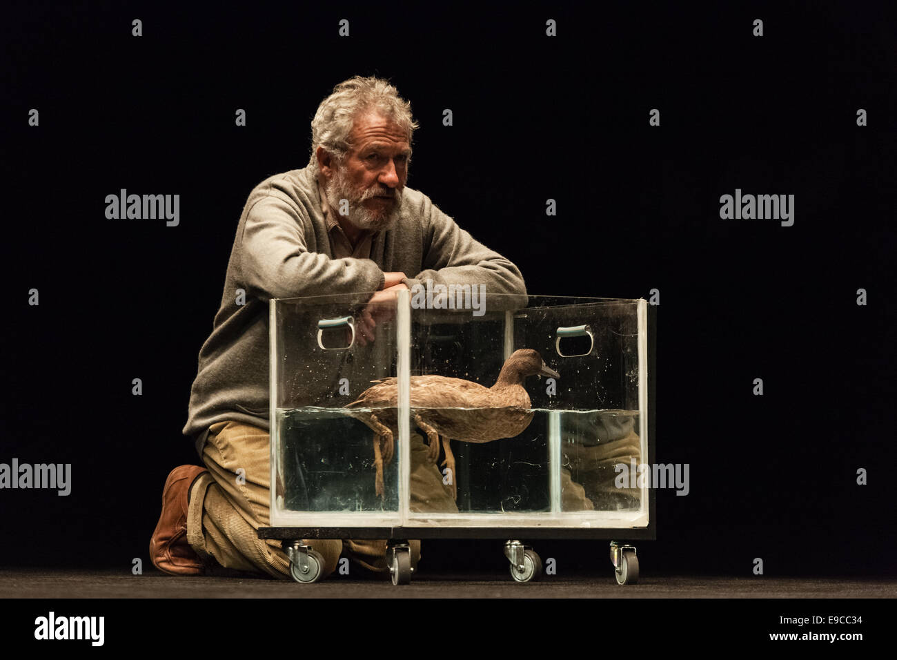 Richard Piper High Resolution Stock Photography and Images - Alamy