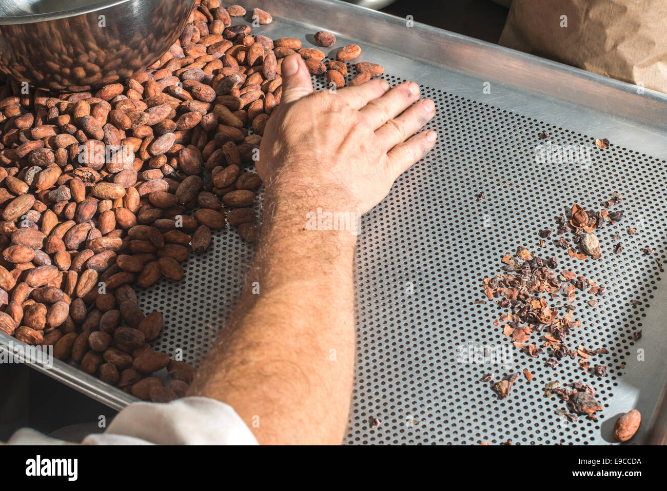 Ecuador cocoa bean harvest hi-res stock photography and images - Alamy