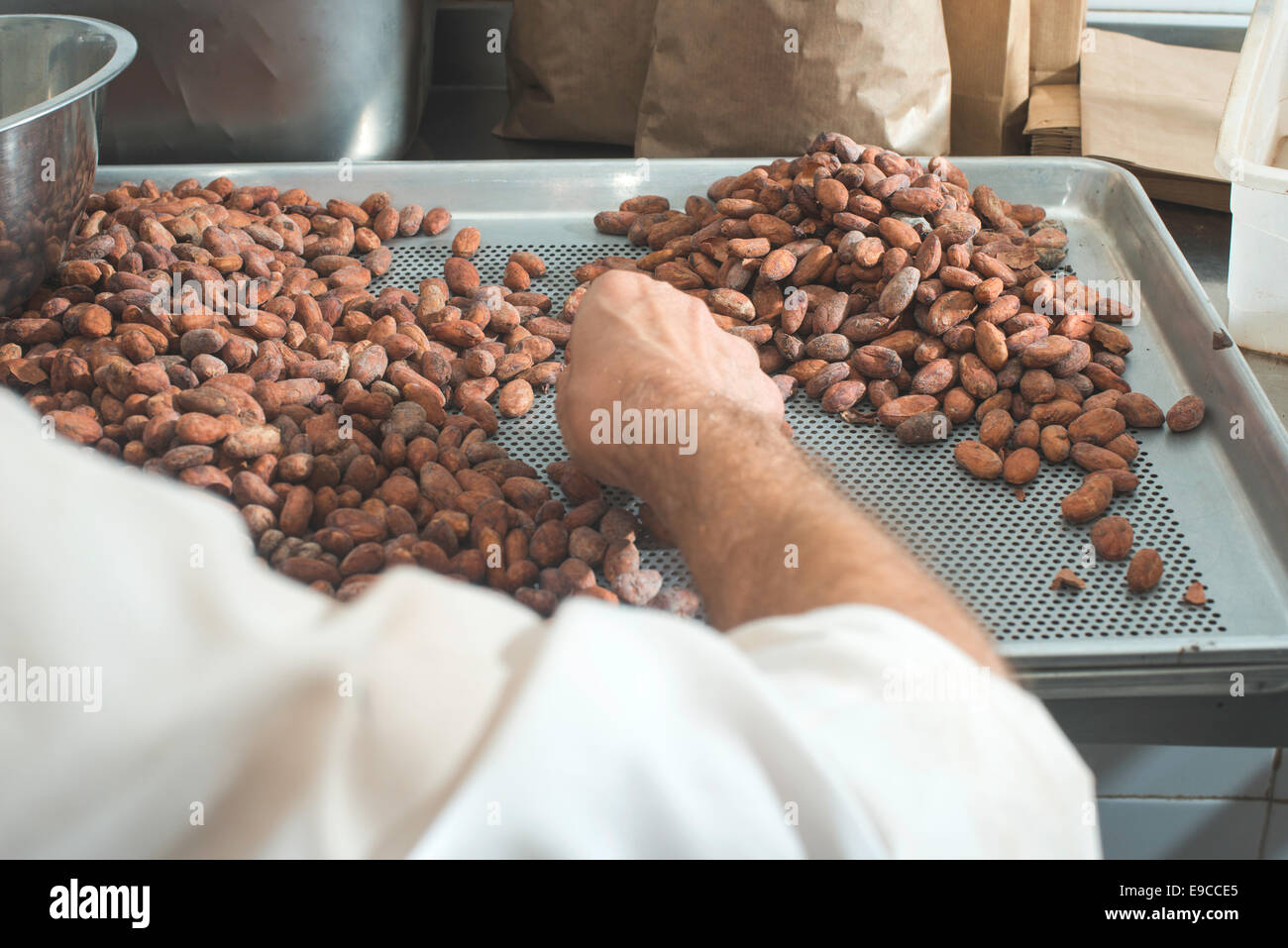 Ecuador cocoa bean harvest hi-res stock photography and images - Alamy