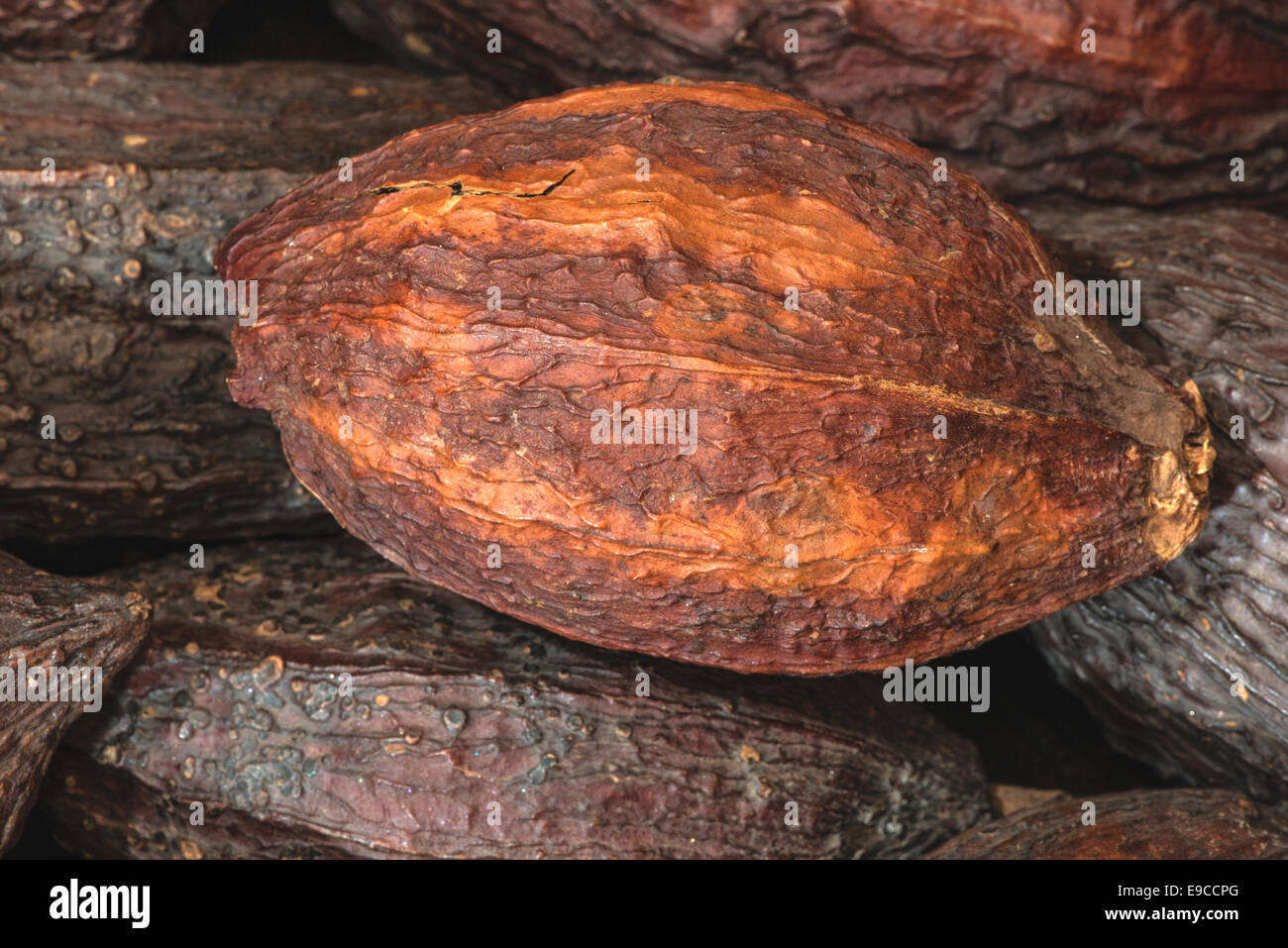 Cocoa pod cut hi-res stock photography and images - Alamy