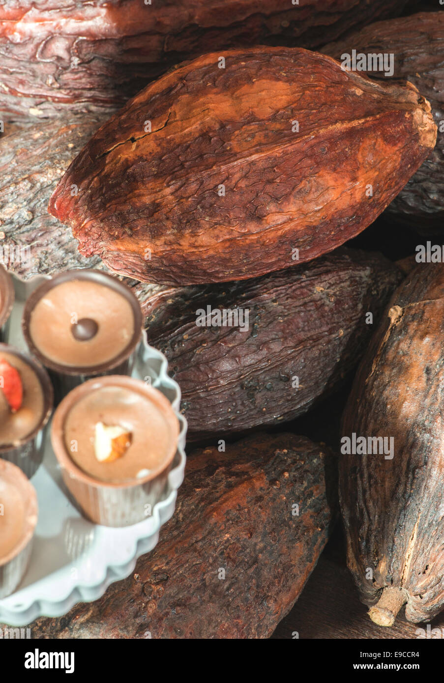 Cocoa Bean Pods Stock Photos & Cocoa Bean Pods Stock Images - Alamy