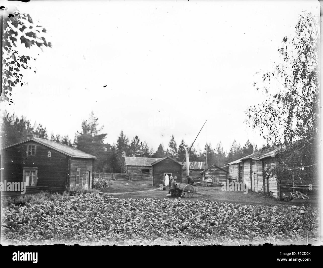 A photograph depicting an unknown location in Finland, identified as ...