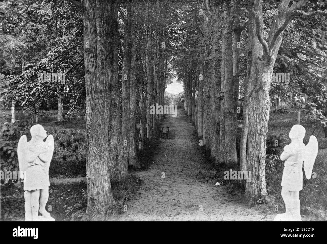 A photograph of an unknown location in Finland, possibly from the early ...
