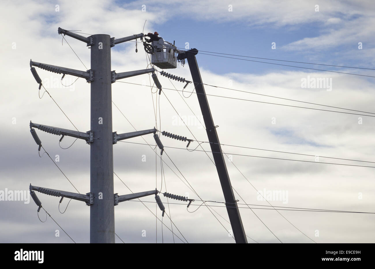 Goshen, New York, USA. 24th Oct, 2014. Employees of Northline Utilities ...