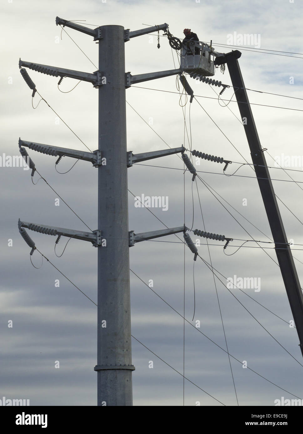 Goshen, New York, USA. 24th Oct, 2014. Employees of Northline Utilities ...