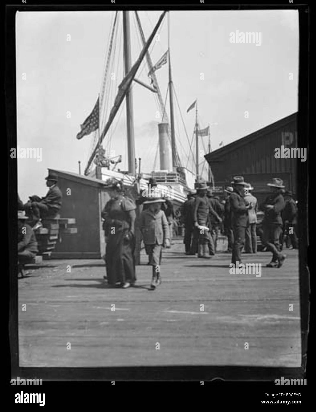 This image is labeled with a unique reference code, potentially showcasing a specific subject or ...