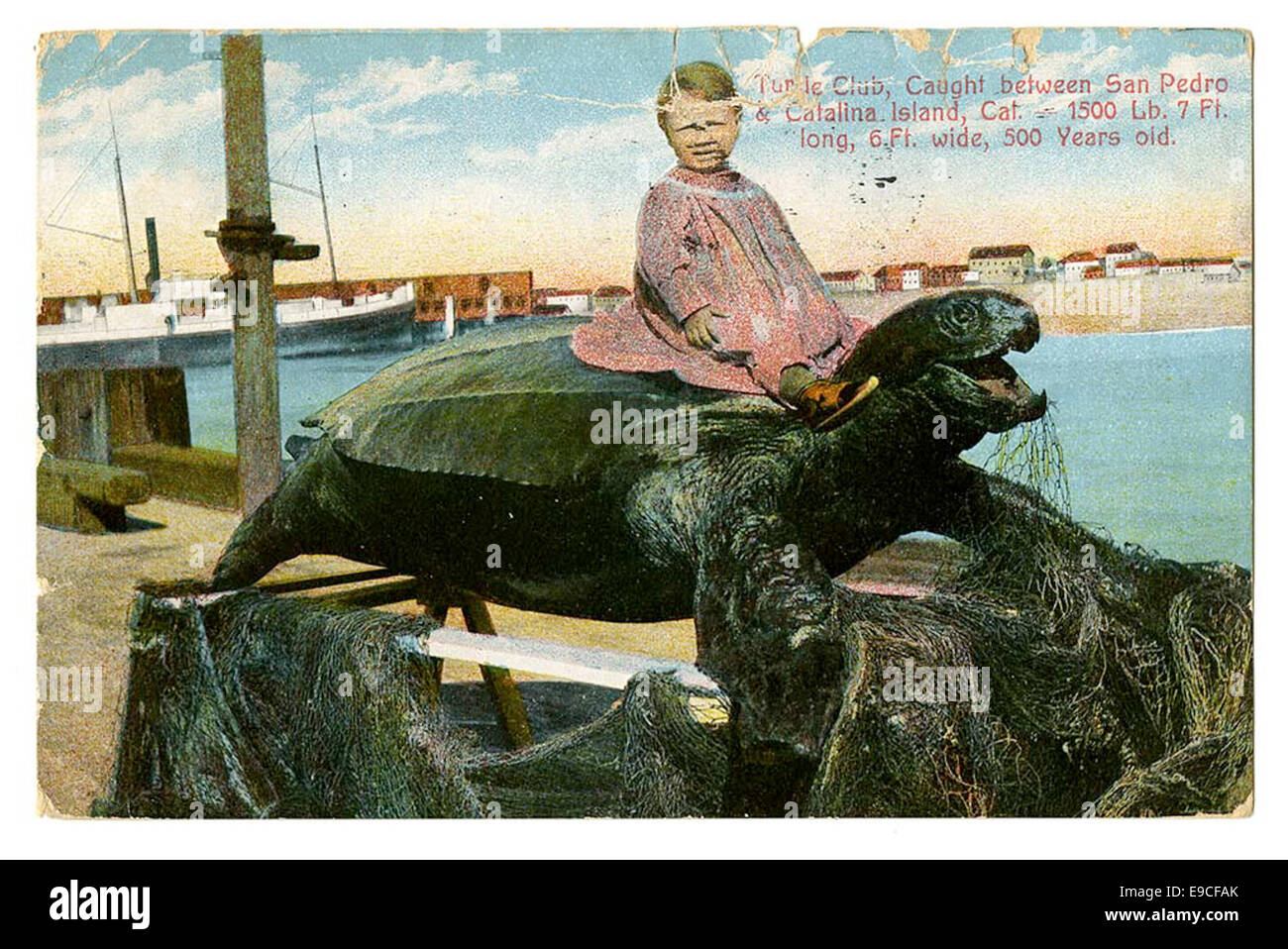 A photograph depicting the Turtle Club located between San Pedro and ...