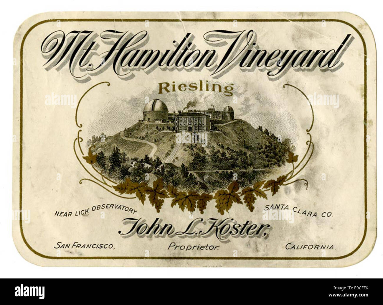 This image shows a wine label from Mt. Hamilton Vineyard, showcasing ...