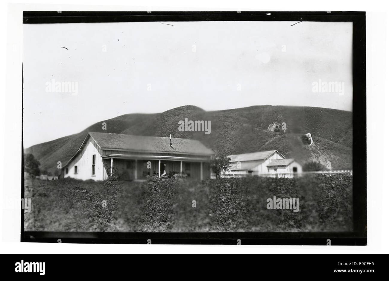 This image is without a provided caption, offering no direct ...