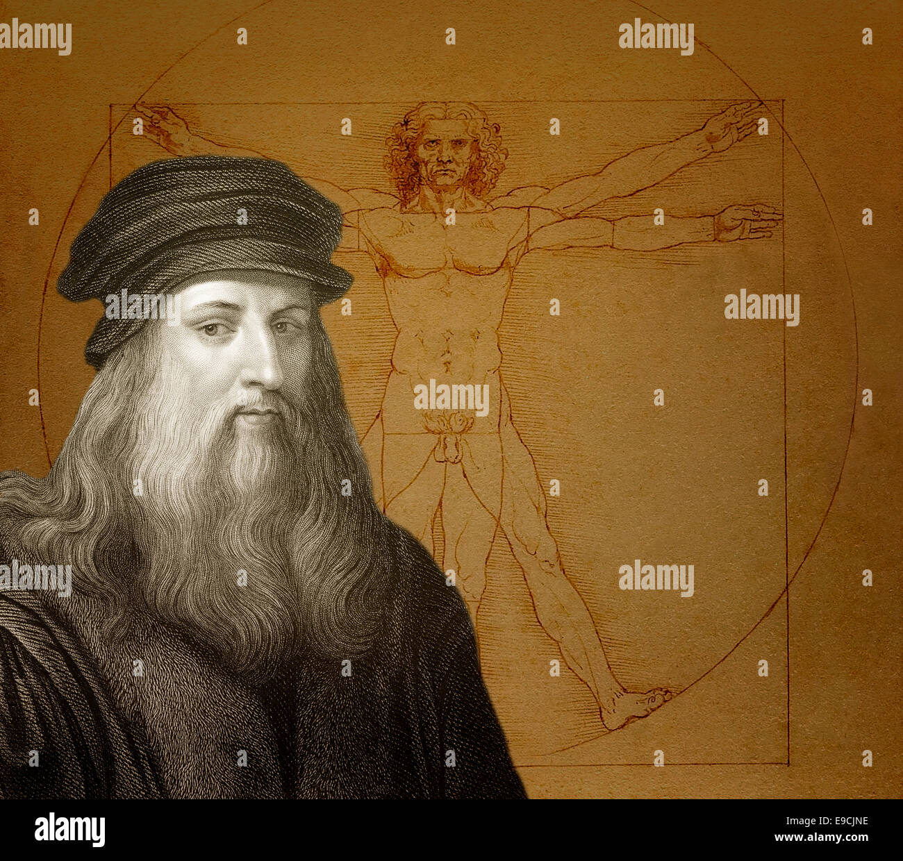 The Vitruvian Man, Leonardo da Vinci, 1452 - 1519, Italian painter ...