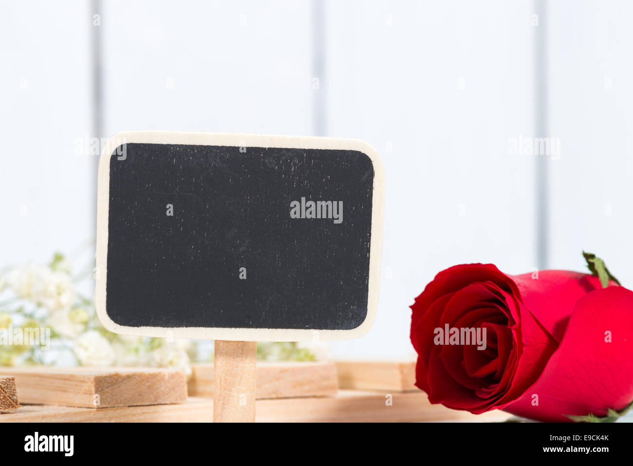 Blank Message board with lilac flower and copy space Stock Photo - Alamy