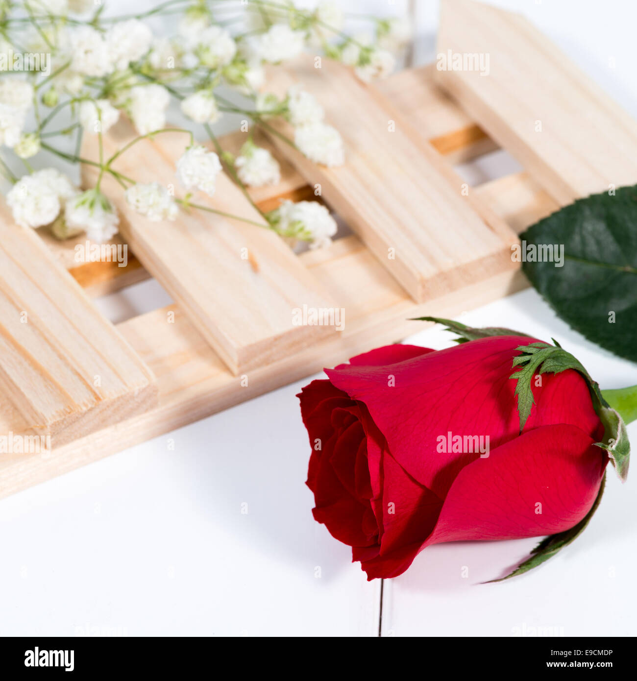 Blank Message board with lilac flower and copy space Stock Photo - Alamy