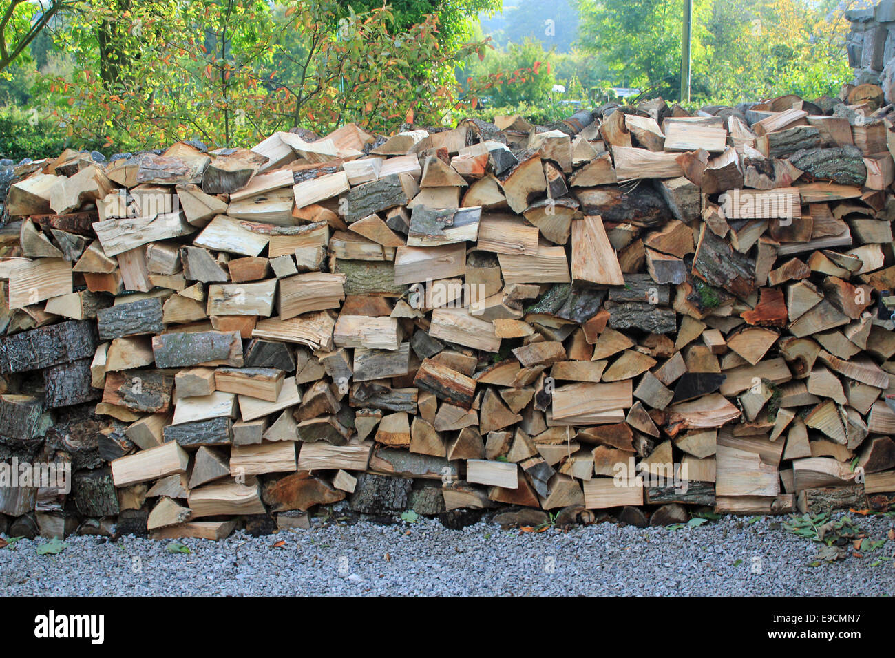 Stack of logs cut ready for burning symbolizing fuel, fire and winter ...