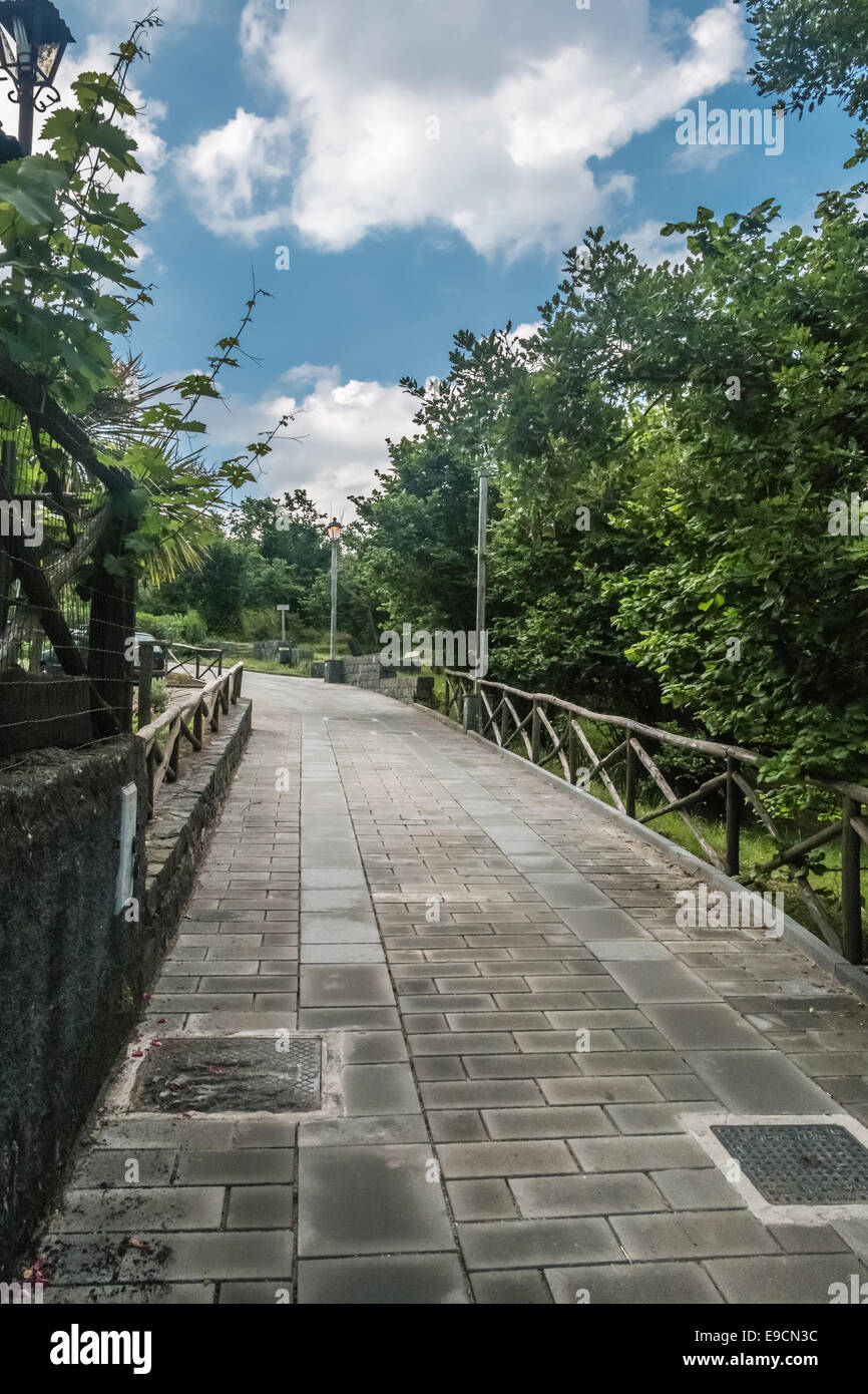 The tree lined pedestrian walkway hi-res stock photography and images ...