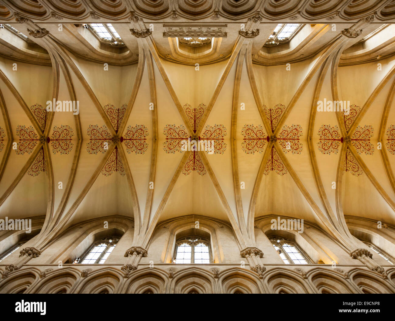 The vault of the nave of Wells Cathedral (vaulted ceiling of the nave ...