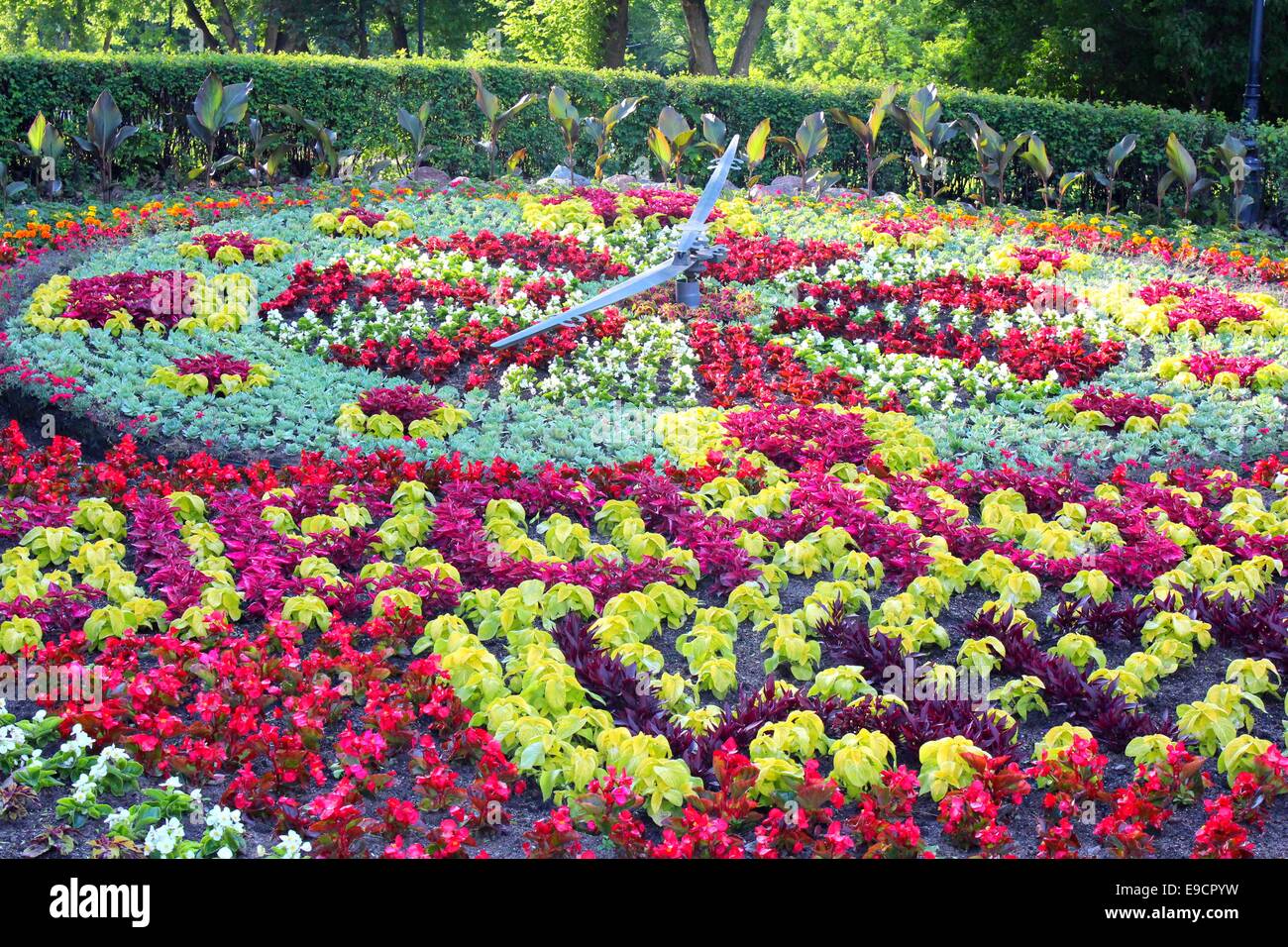 Flower clock hi-res stock photography and images - Alamy