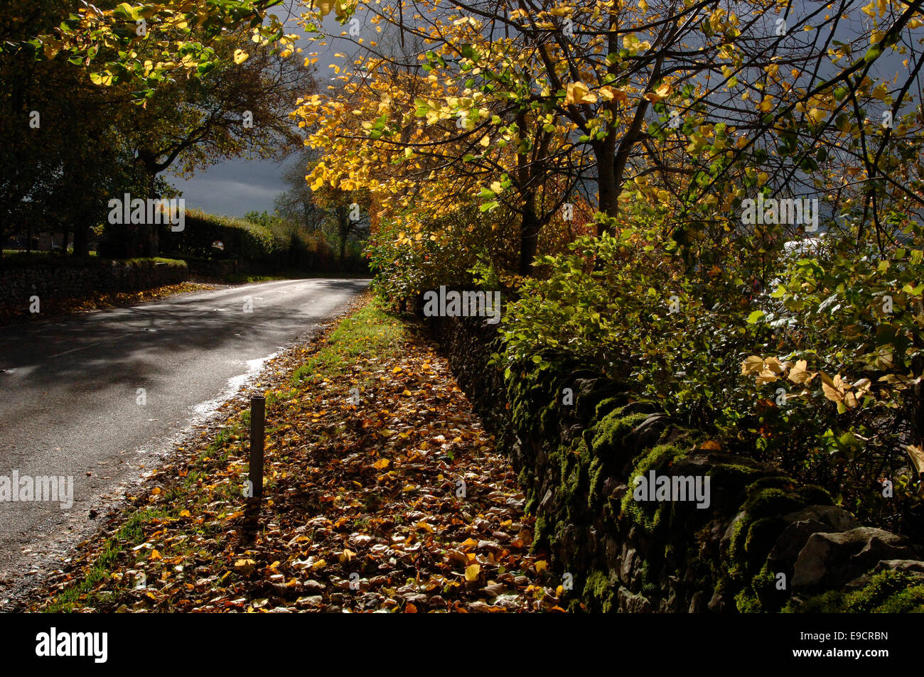 Autumn calander hi-res stock photography and images - Alamy