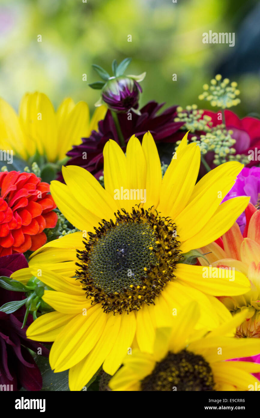 Bouquet with summer flowers Stock Photo - Alamy